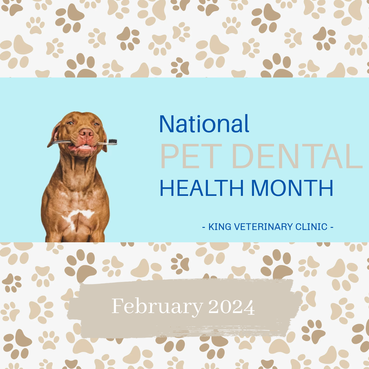 National Pet Dental Health Month February 2024 – King Veterinary Clinic